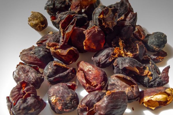 What is Cascara? Coffee or Tea? | Joe's Daily