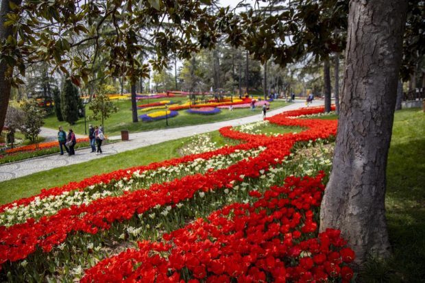 A Sea of Tulips: Celebrating Spring in Istanbul | Joe's Daily